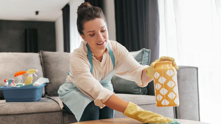 Essential Housekeeping Supplies for Your Home | Clean Queen